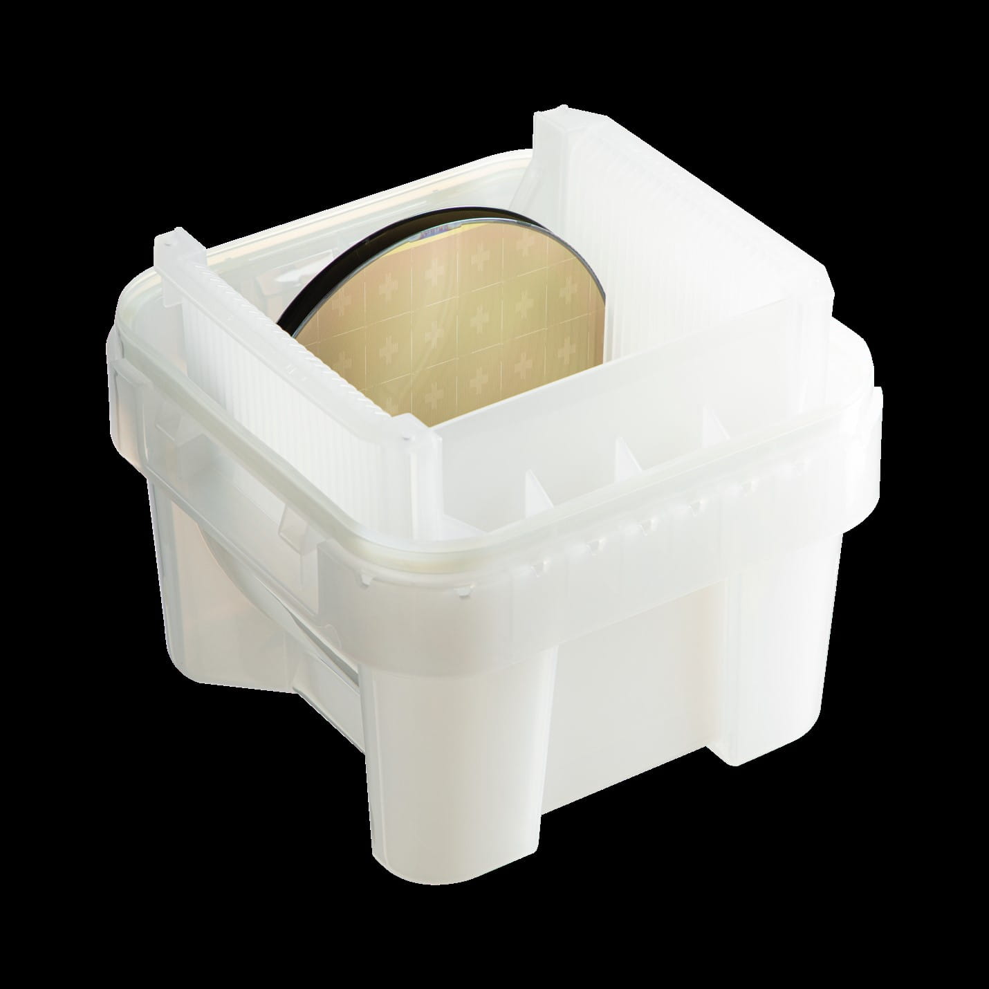 Launching of the first microchip chip by FPT